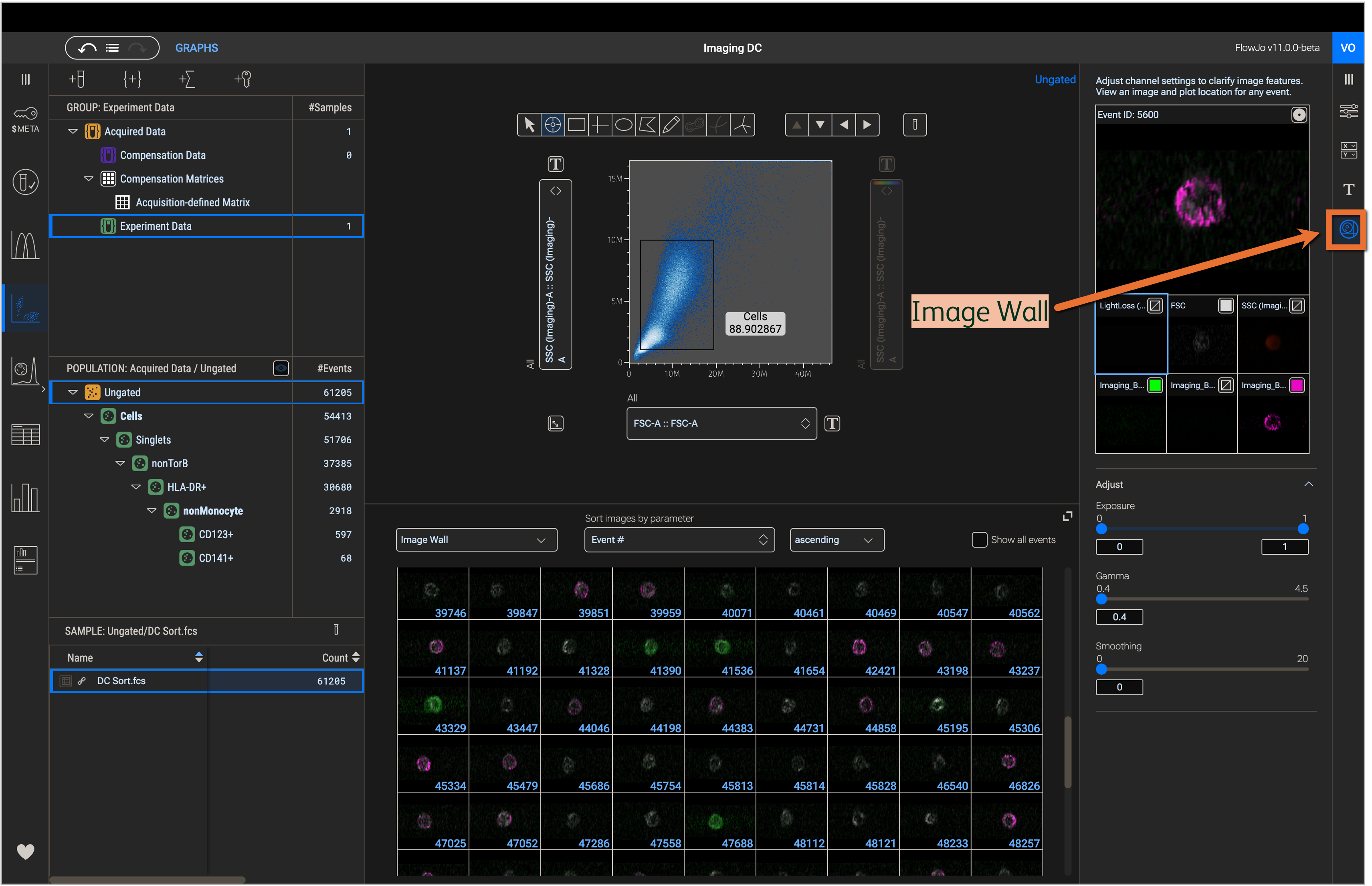 Image Wall | FlowJo, LLC